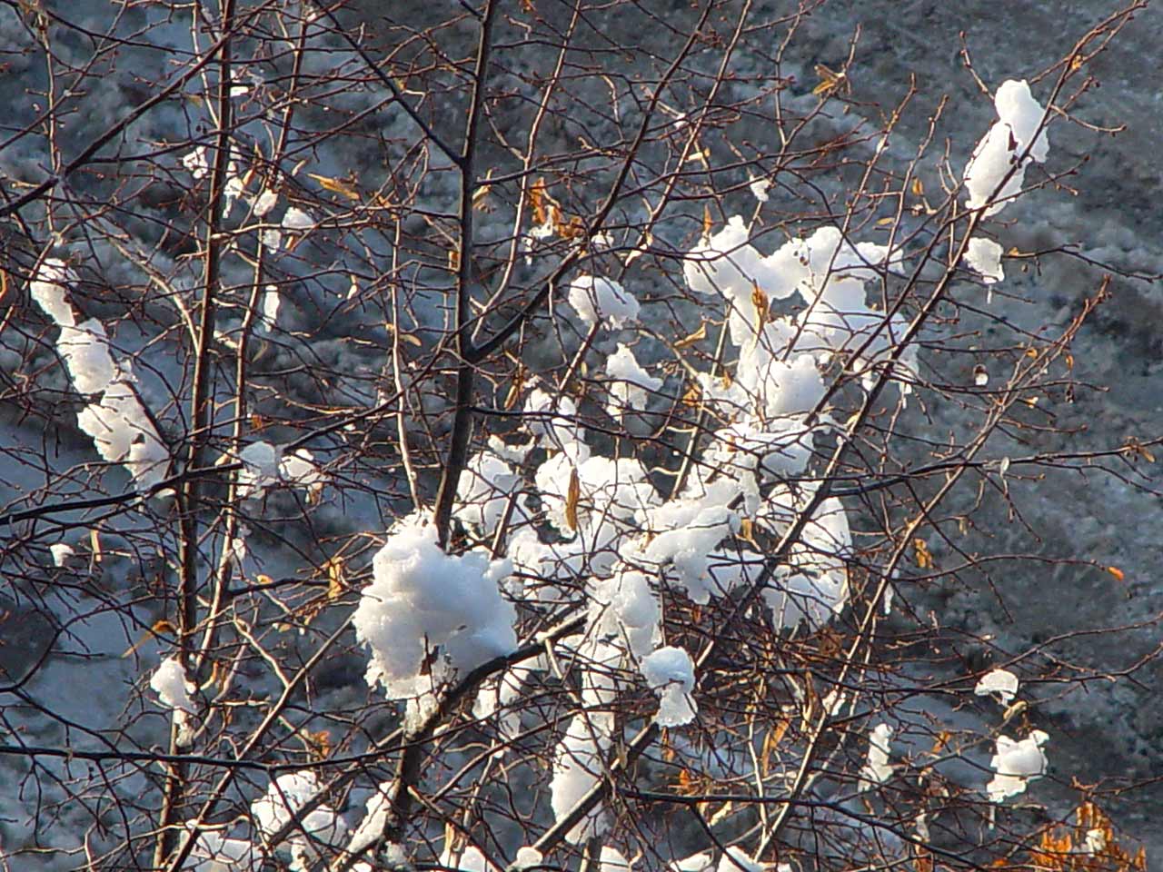 Images from Dupnitsa, Bulgaria - photos by Michel Bertoux